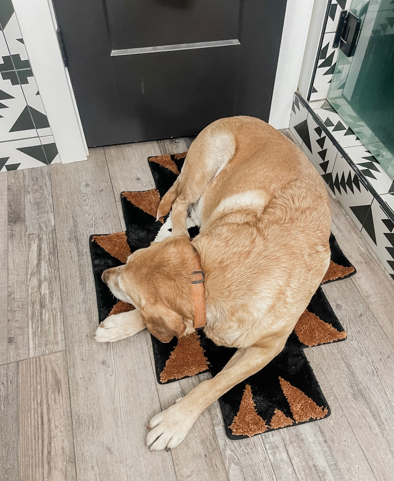 Aztec Rodeo Rug – The Dirt Road Fashionista
